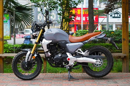 大阳摩托车品牌>天昴 DY 200-8报价车型图片-摩托范-哈罗摩托