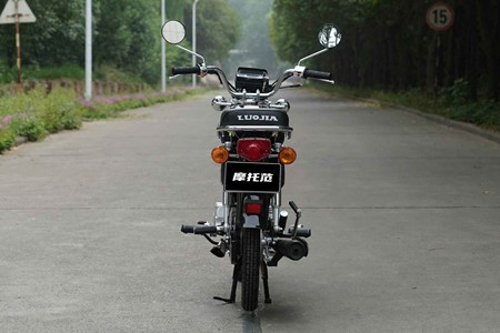 洛嘉摩托车品牌>LJ 110-27 经典版报价车型图片-摩托范-哈罗摩托