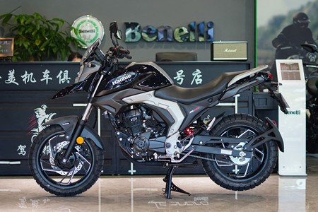 豪爵摩托车品牌>DL150报价车型图片-摩托范-哈罗摩托