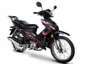 宗申摩托车品牌>V炫ZS110-53 超值型报价车型图片-摩托范-哈罗摩托