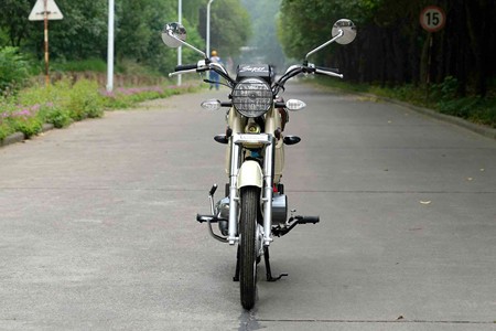 洛嘉摩托车品牌>LJ110-27报价车型图片-摩托范