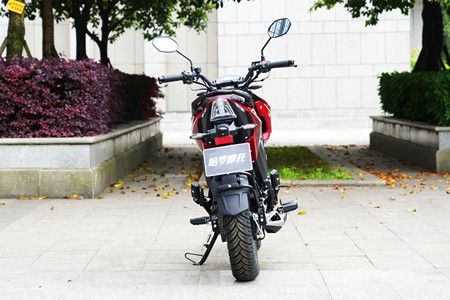 力帆摩托车品牌>SS2 250报价车型图片-摩托范-哈罗摩托