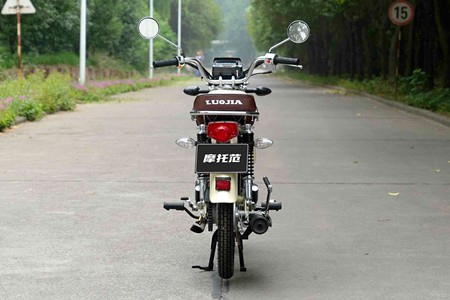 洛嘉摩托车品牌>LJ110-27报价车型图片-摩托范