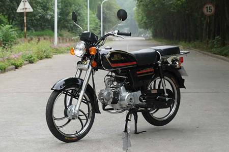 洛嘉摩托车品牌>LJ110-27 经典版报价车型图片-摩托范