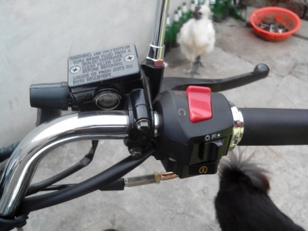 宗申摩托车品牌>尊龙太子ZS150-8报价车型图片-摩托范